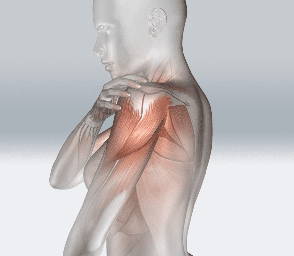 Chiropractic Treatment and Care for Shoulder Pain